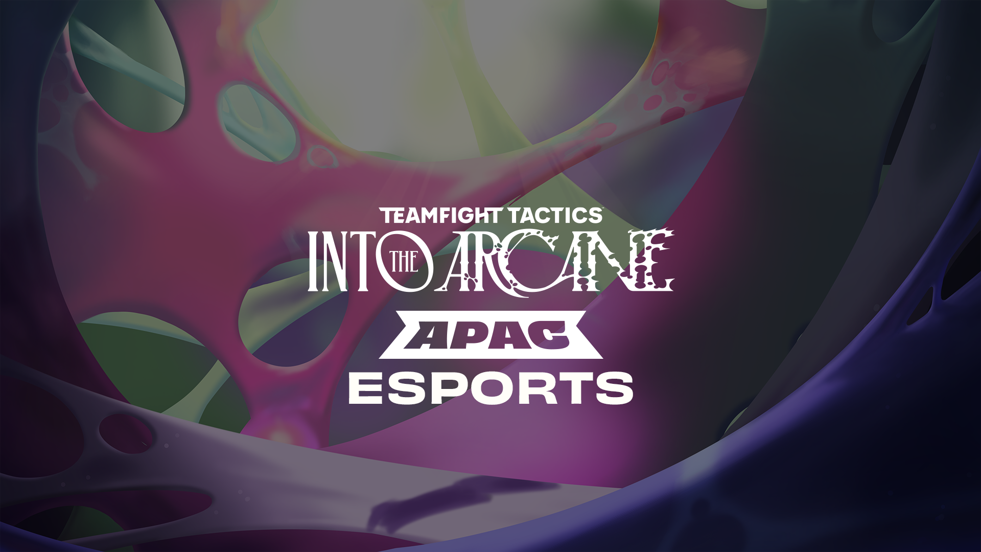 Set 13 APAC Esports: Everything You Need to Know